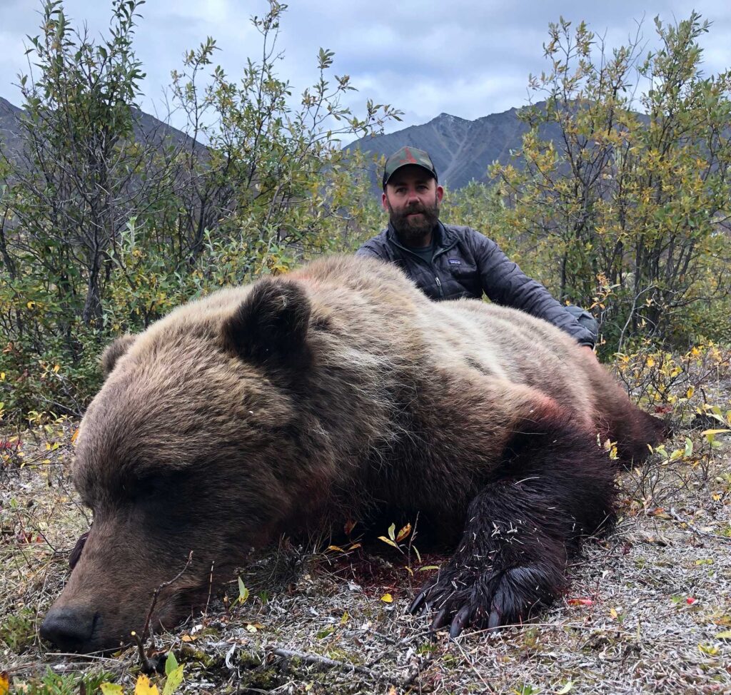 Grizzly - Big Game Backcountry Guides